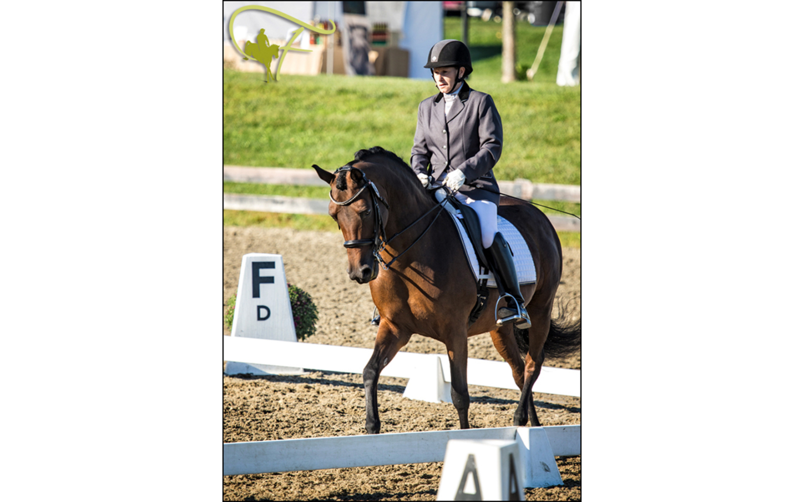 Krystle-NEDA-Fall – Morgan Dressage Association